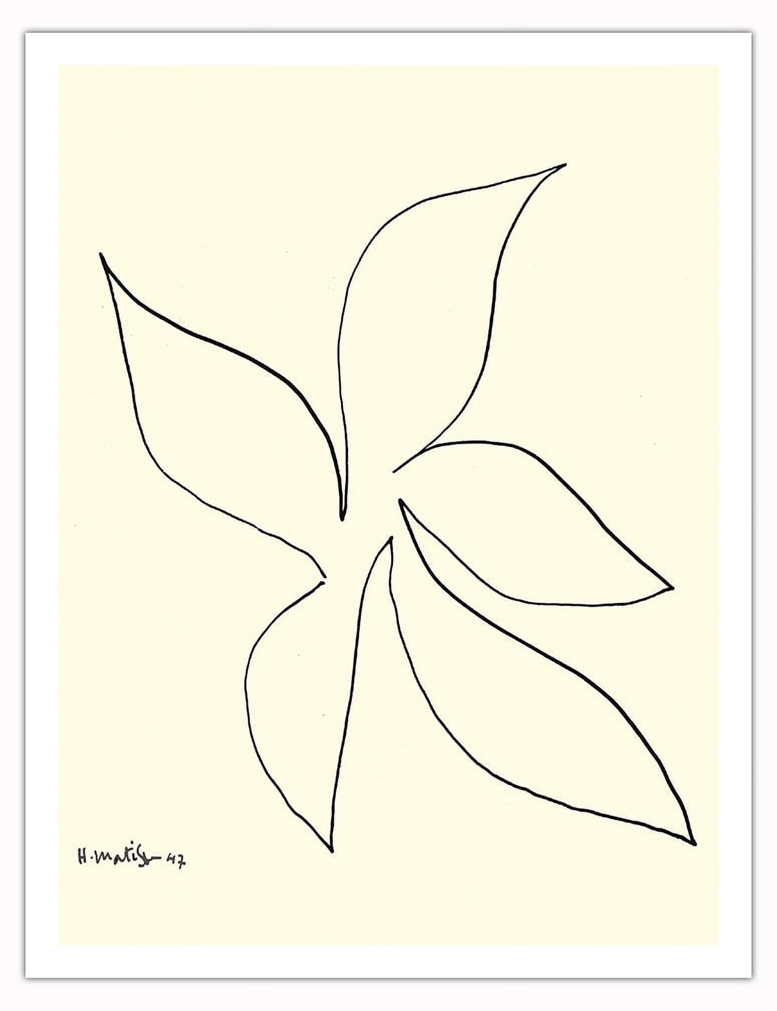 Stylized Hyacinth - Ink on Paper by Henri Matisse c.1947 - Fine Art ...