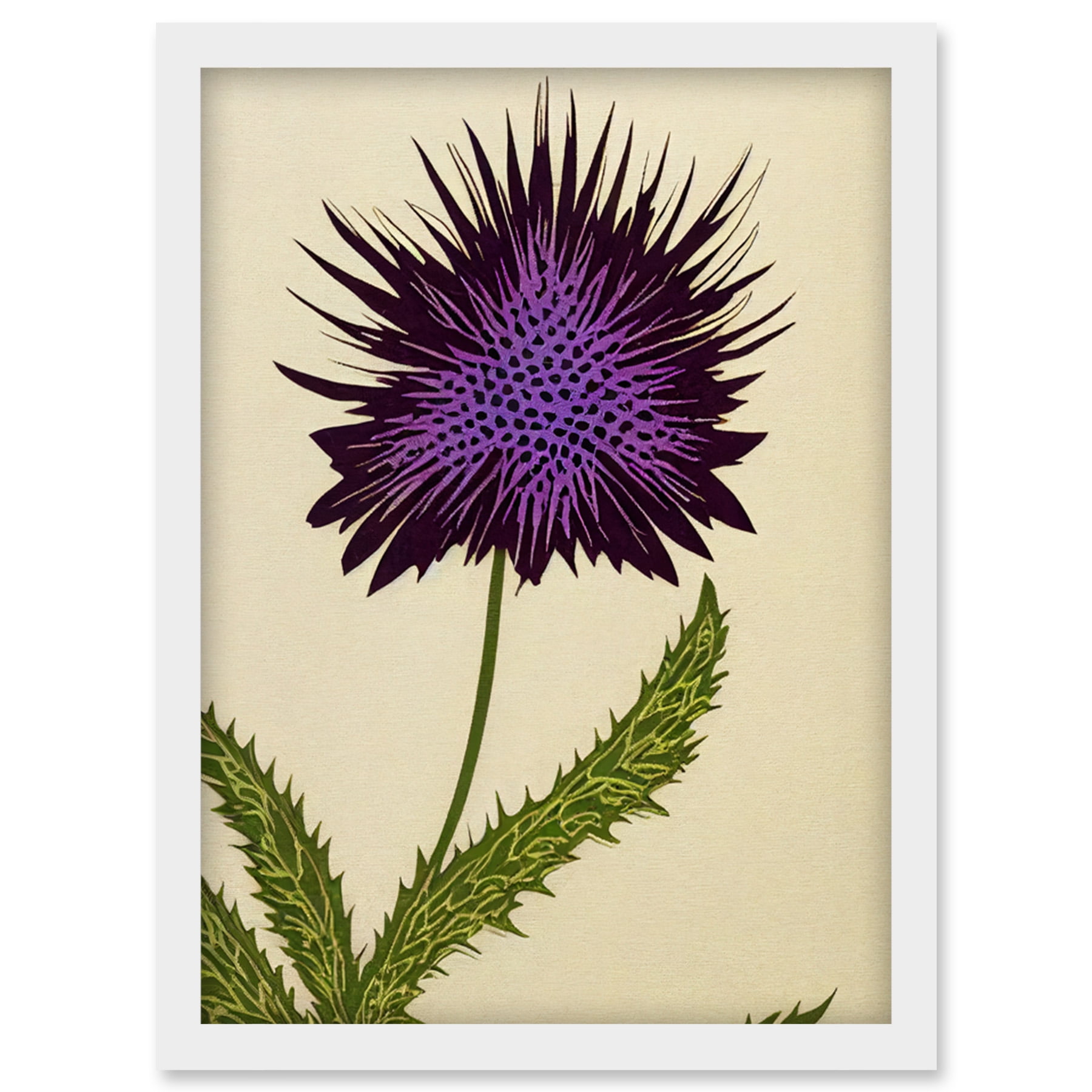 Stylized Modern Purple Scottish Thistle Flower Illustration Artwork ...