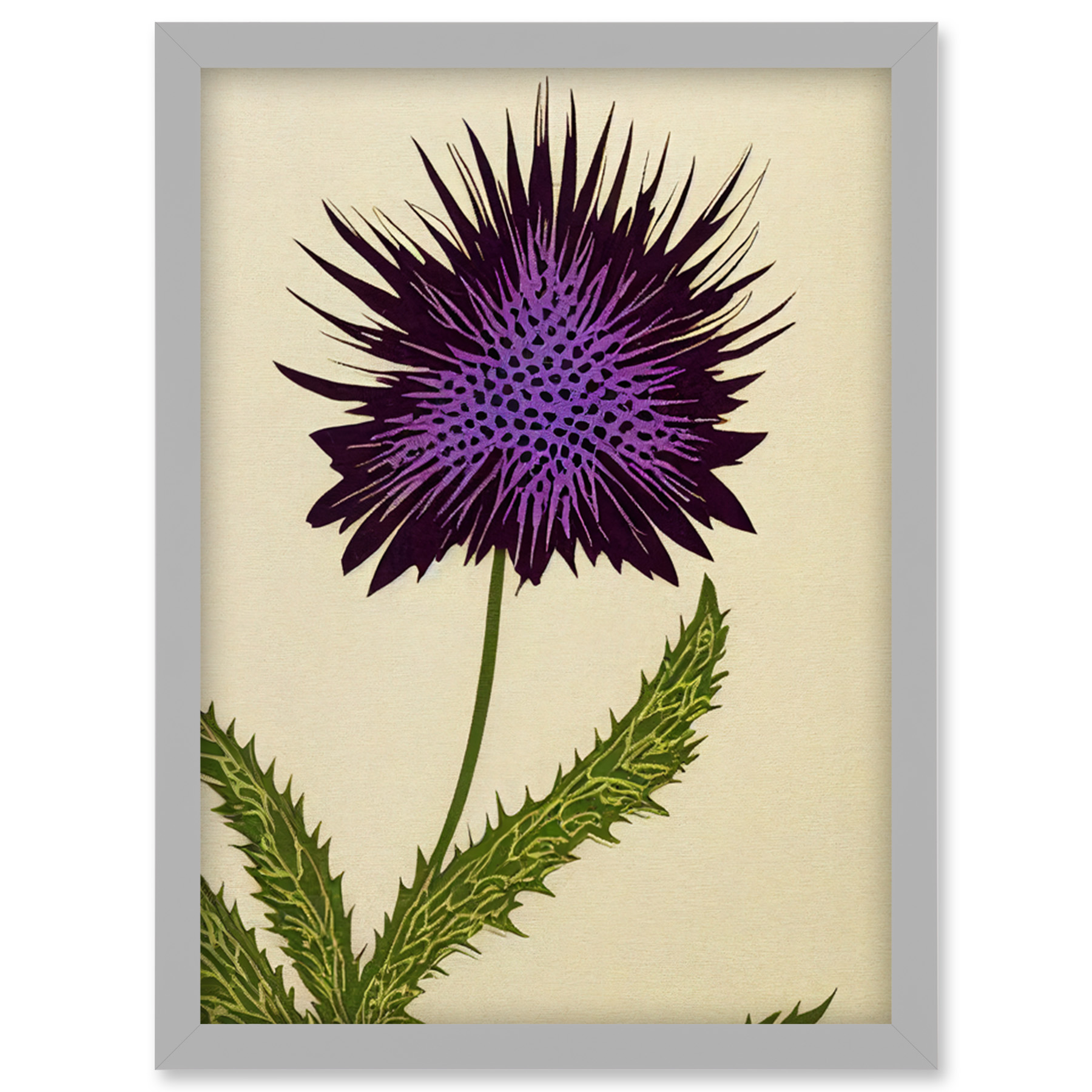 Stylized Modern Purple Scottish Thistle Flower Illustration Artwork ...