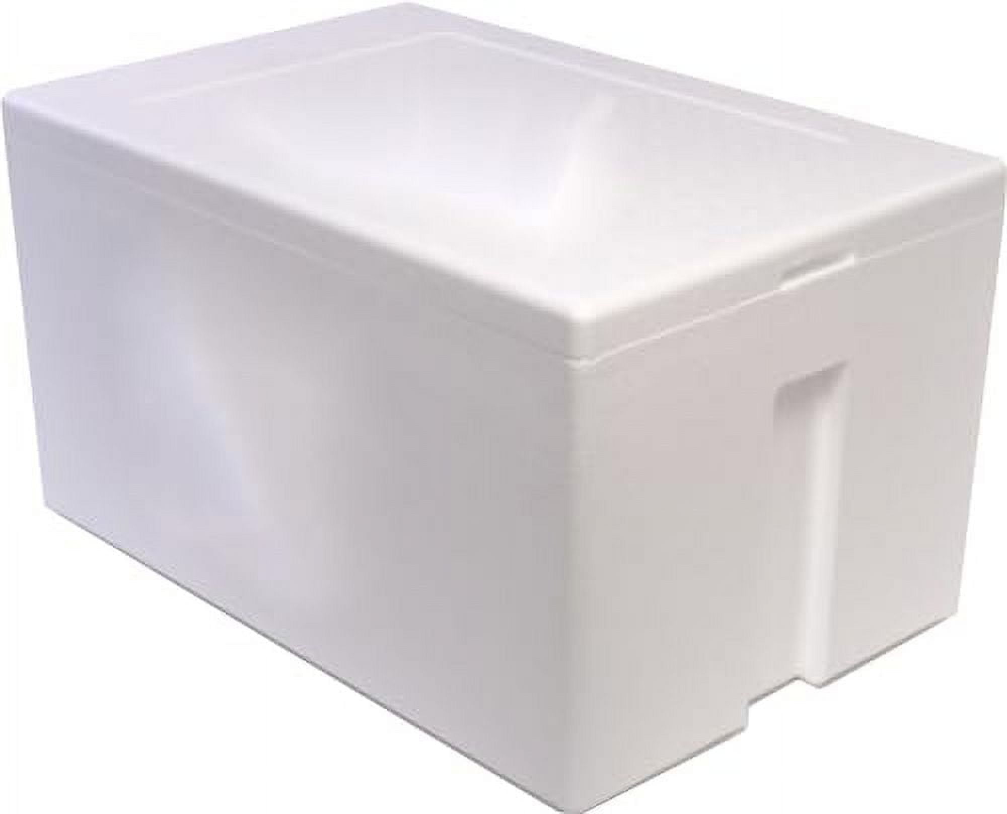 Styrofoam Cooler, Ice Chest (47qt) – Lightweight, Insulated Foam Cooler ...