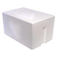 Styrofoam Cooler, Ice Chest (47qt) - Walmart.com