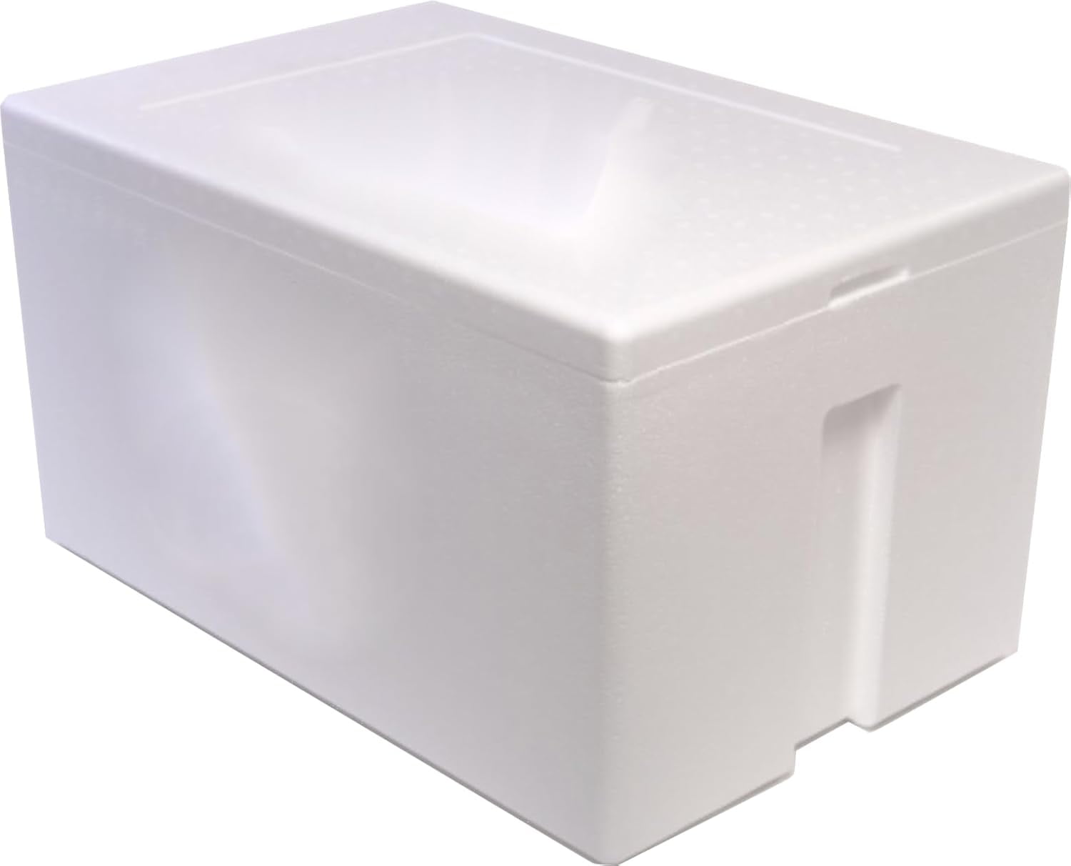 Styrofoam Cooler, Ice Chest (47qt) - Walmart.com