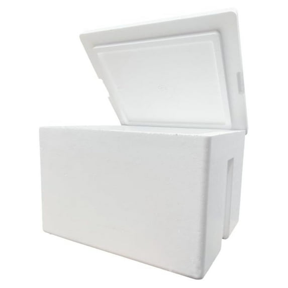 Styrofoam Ice Chest, Insulated Cooler, 27 qt - Walmart.com