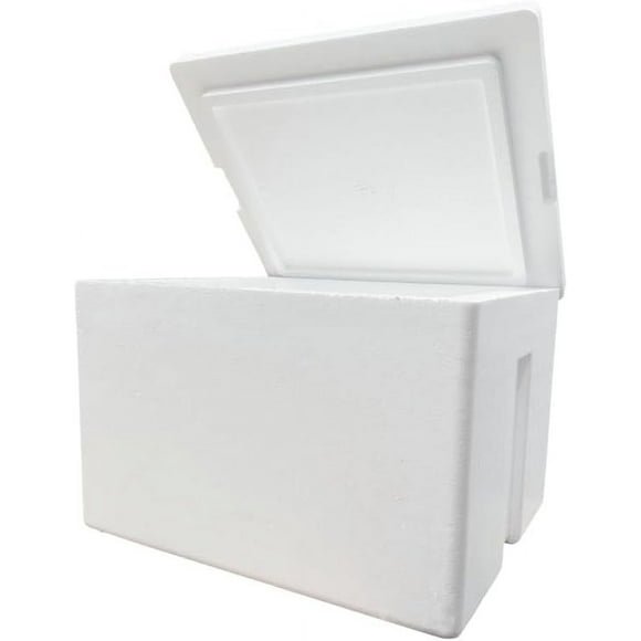 Foam Cooler Box