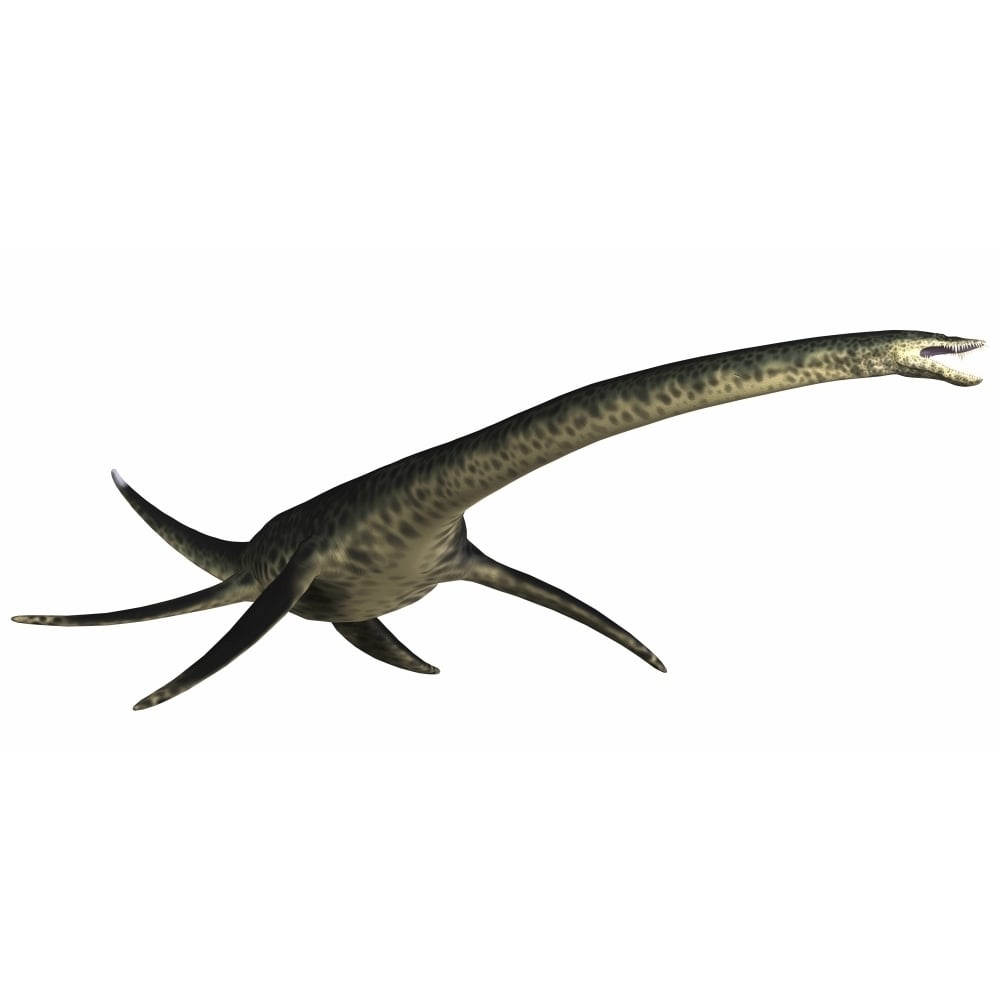 Styxosaurus marine reptile from the Cretaceous Period Poster Print ...