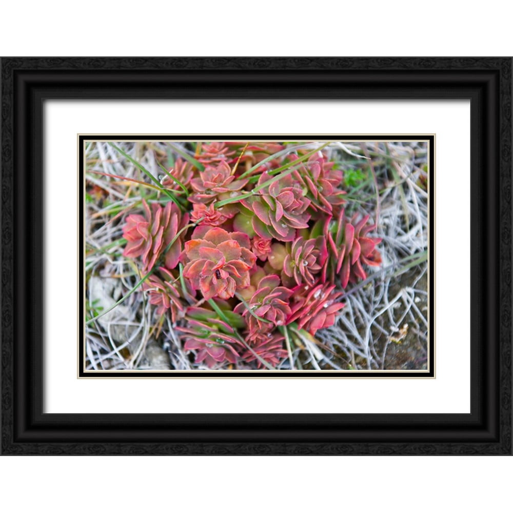 Su, Keren 14x11 Black Ornate Wood Framed with Double Matting Museum Art ...