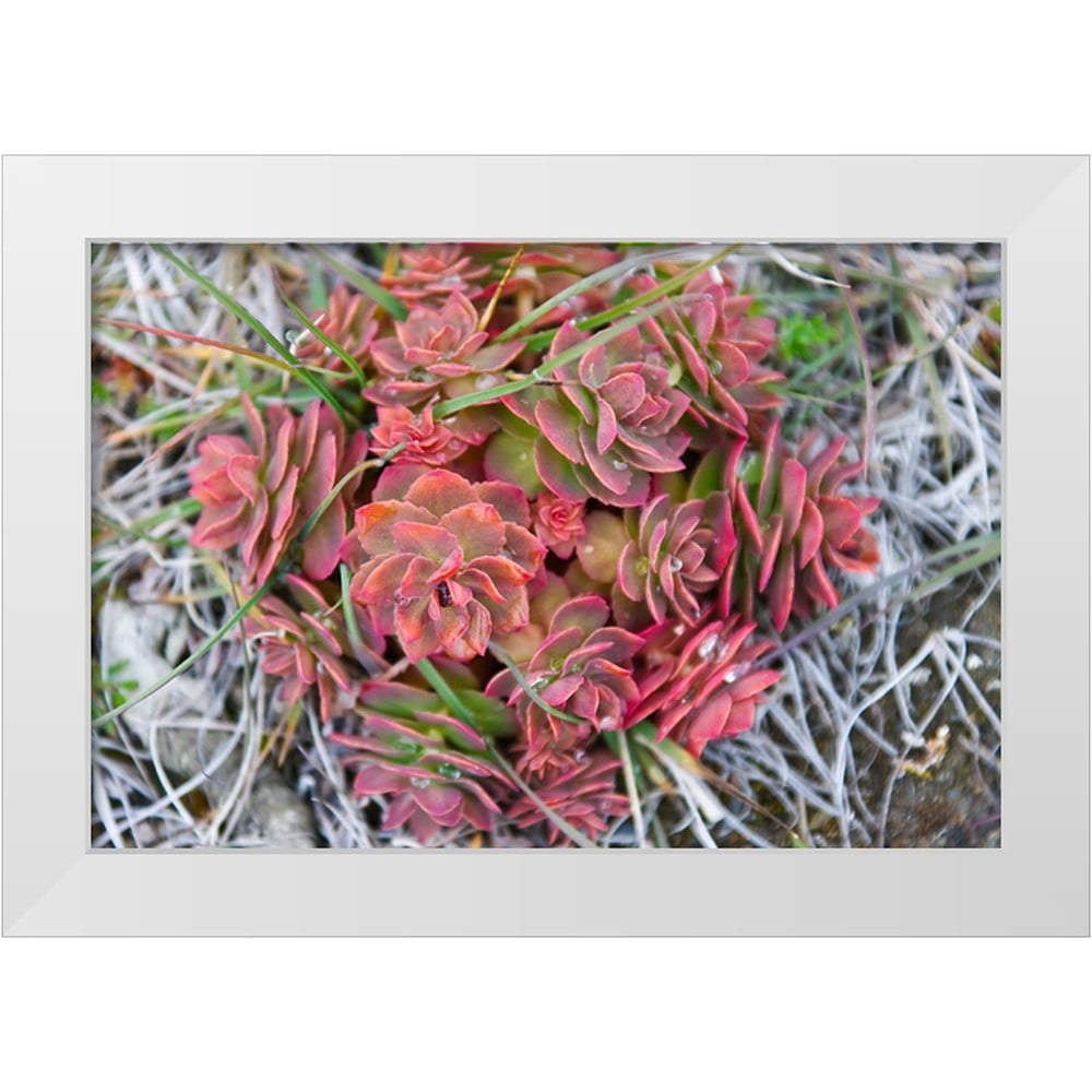 Su, Keren 14x11 White Modern Wood Framed Museum Art Print Titled ...