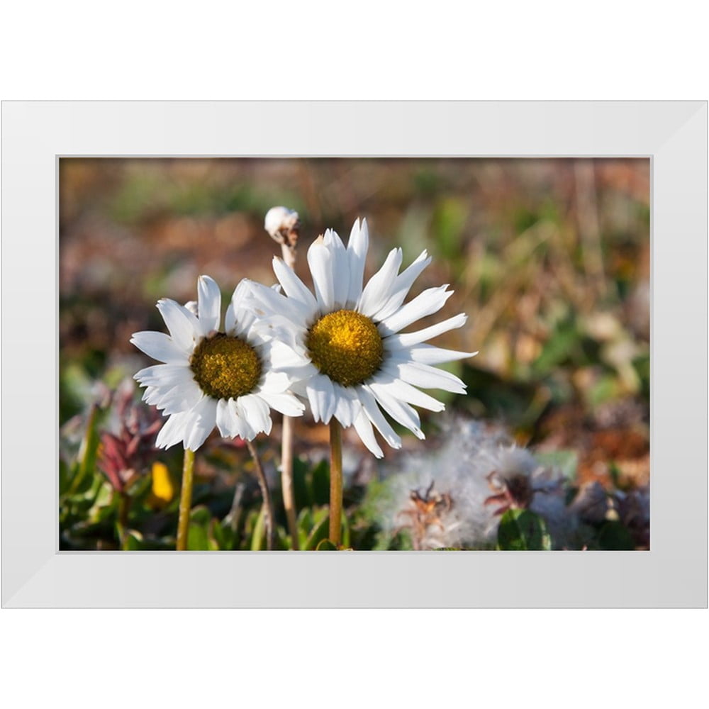 Su, Keren 18x13 White Modern Wood Framed Museum Art Print Titled ...