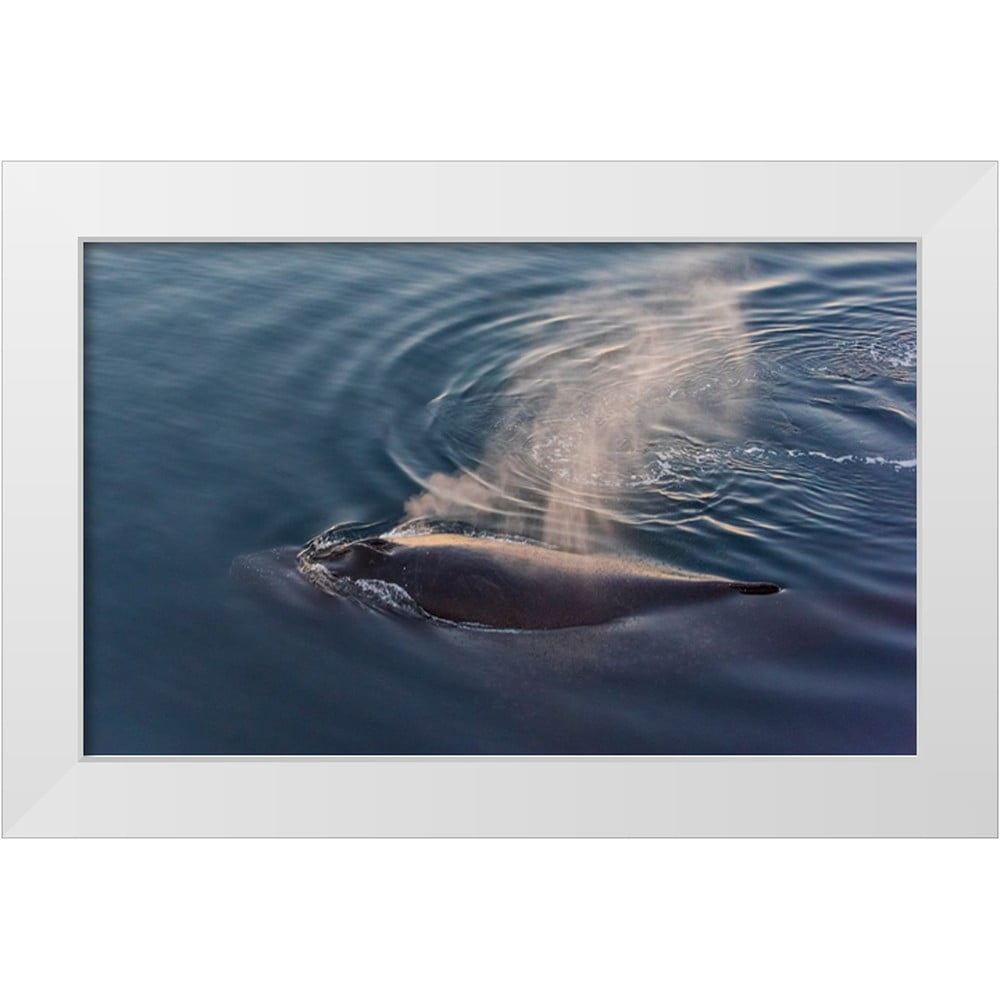 Su, Keren 18x13 White Modern Wood Framed Museum Art Print Titled ...