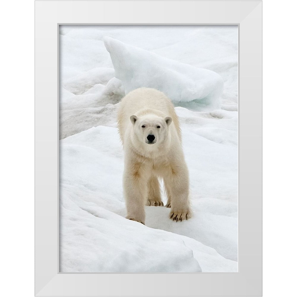 Su, Keren 18x24 White Modern Wood Framed Museum Art Print Titled ...