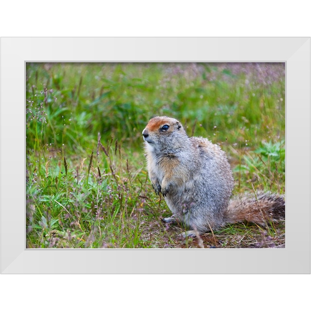 Su, Keren 32x24 White Modern Wood Framed Museum Art Print Titled ...