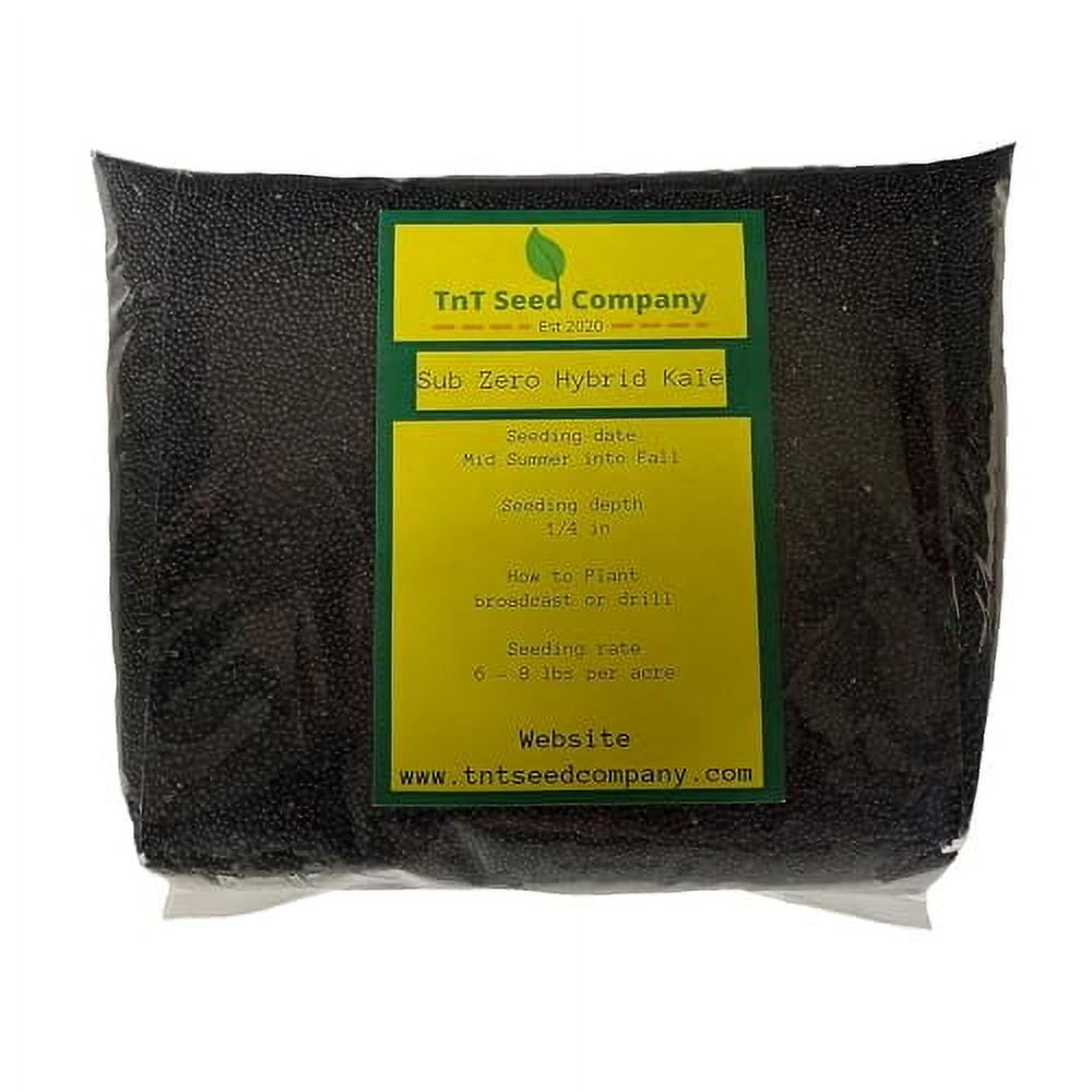 Sub Zero Hybrid Kale, Food Plot Seed, 1/2 Acre, Brassica, Provides Tons ...