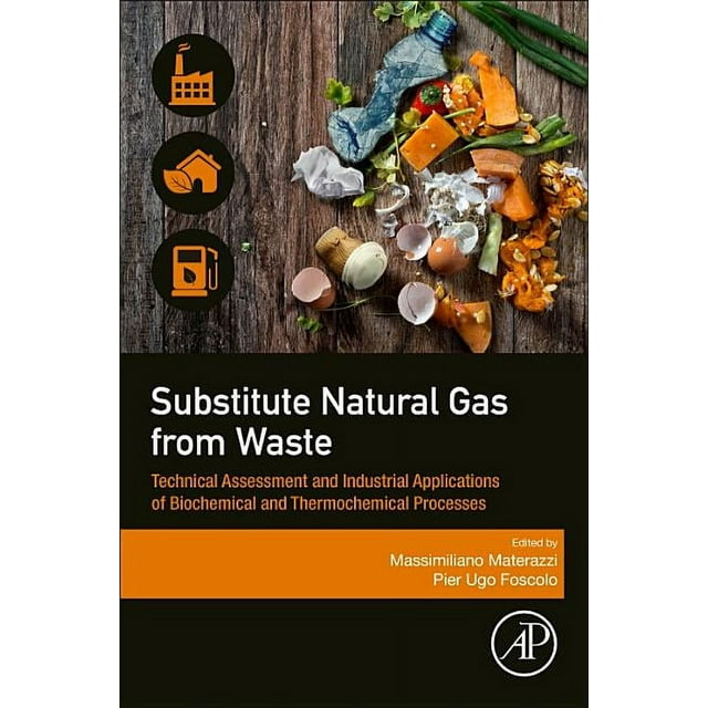 Substitute Natural Gas from Waste: Technical Assessment and Industrial ...