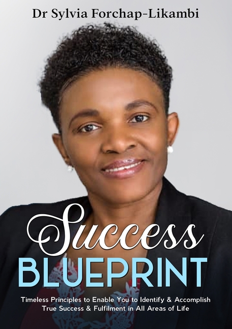 Success Blueprint: Timeless Principles to Enable You to Identify & Accomplish True Success ...