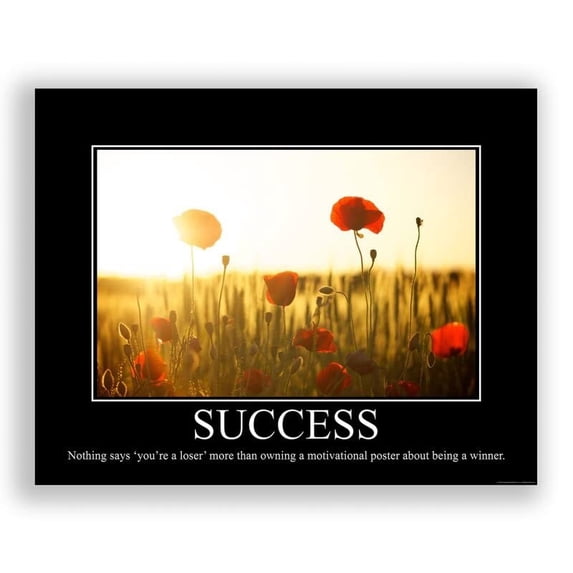 Success Demotivational Poster Ironic Snarky Funny Sarcastic Office Wall ...