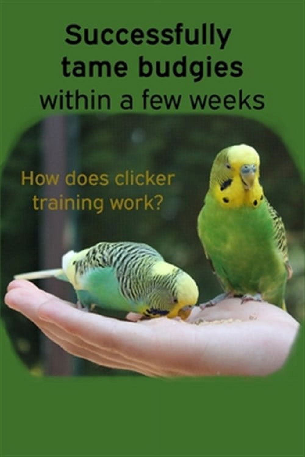Successfully tame budgies within a few weeks: How does clicker training ...