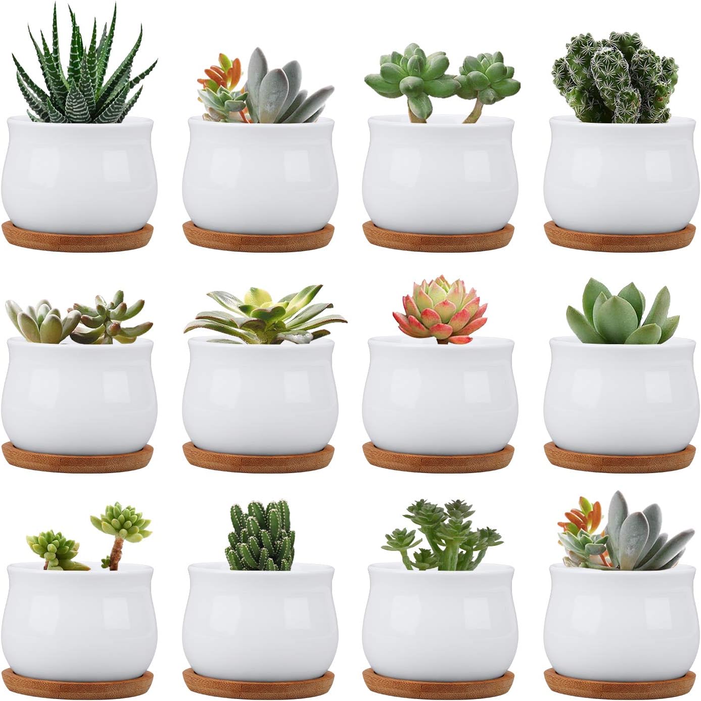 Succluent Pots ，Small Flower Pots Planter Pots with Drinage,Ceramic ...