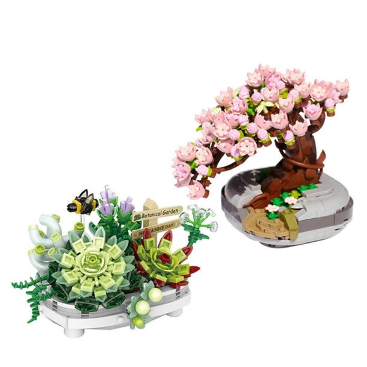 Succulent Bonsai Tree DIY Kit, Mini Botanical Collection, Home Decor ...