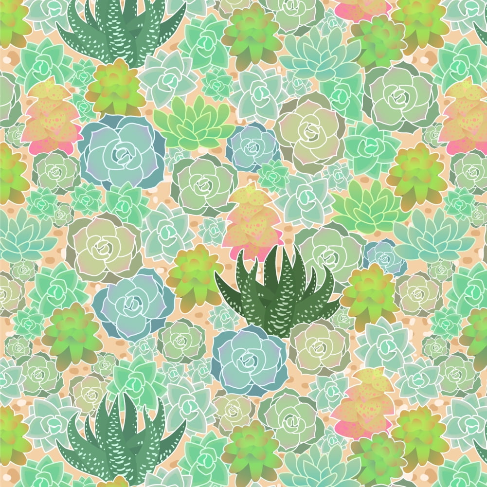 Succulent Cactus Aloe Plants Pattern Premium Roll Gift Wrap Wrapping ...