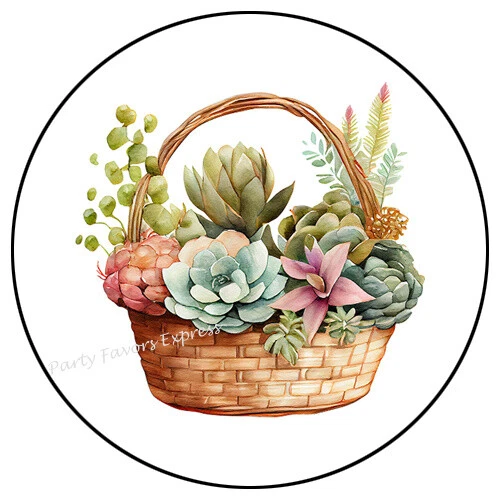 Succulent Cactus Basket Stickers Party Favors Phone Decal Water Bottle ...