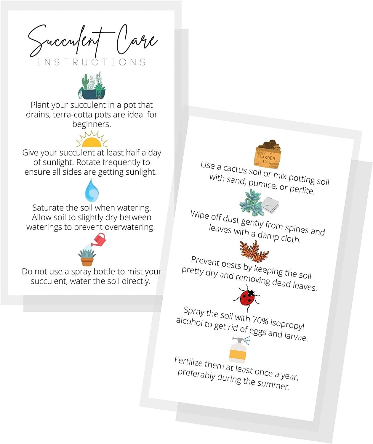 Succulent Care Instruction Cards 50 Pack 2x3.5 in Business Card ...