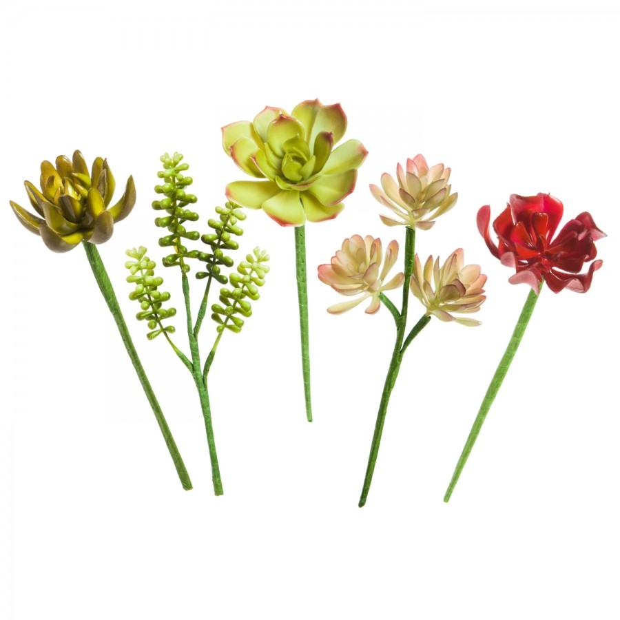 Evergreen Succulent Decorative Stems, 5 ASST - Walmart.com