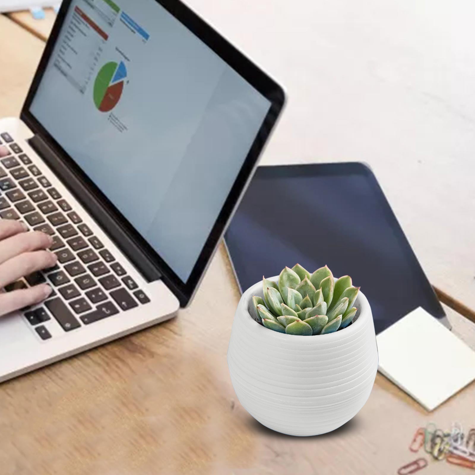 Succulent Flower Pot Mini Stone Pot Rainbow Pot Pp Resin Plastic Lazy ...