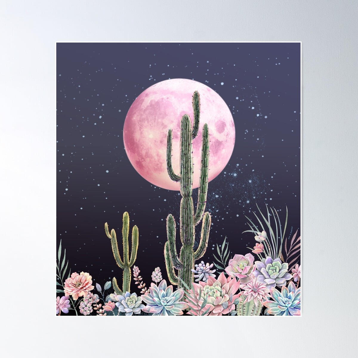 Succulent Full Moon 033 Poster Wall Art, Modern Wall Decor For Living Room Bedroom, 12x18 ...
