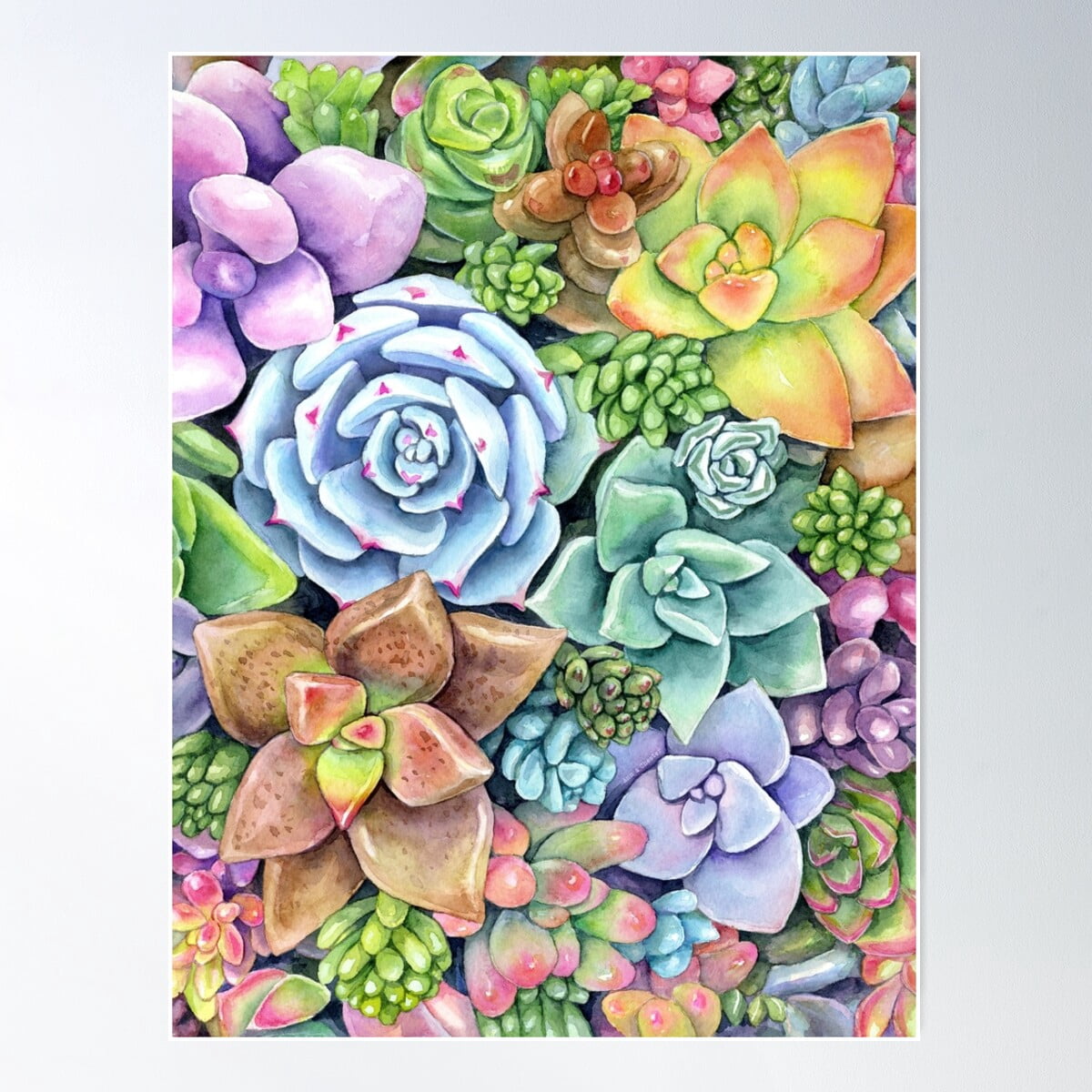 Succulent Garden 004 Poster Wall Art, Modern Wall Decor For Living Room ...