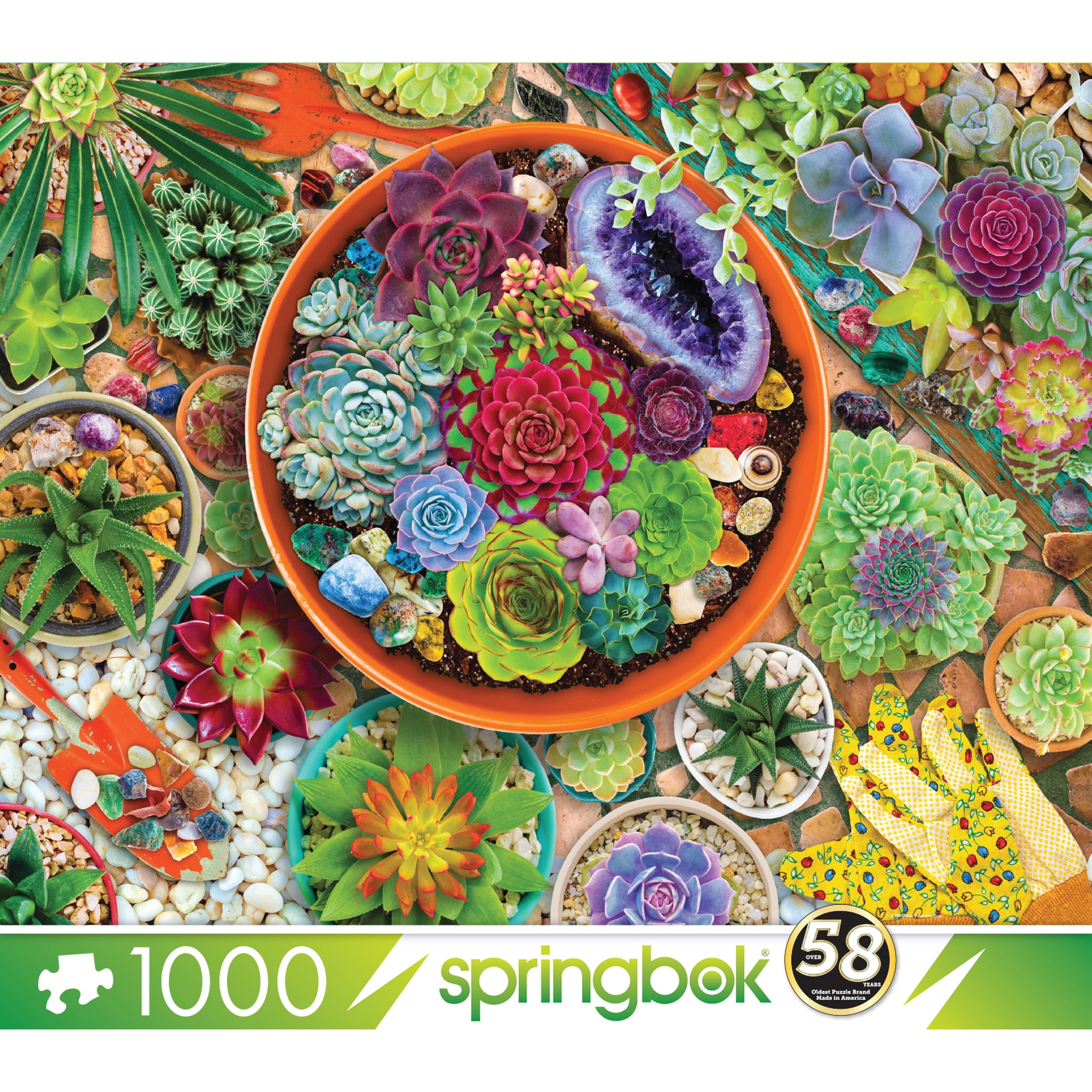 Succulent Garden 1000 Piece Jigsaw Puzzle for Adults by Springbok ...