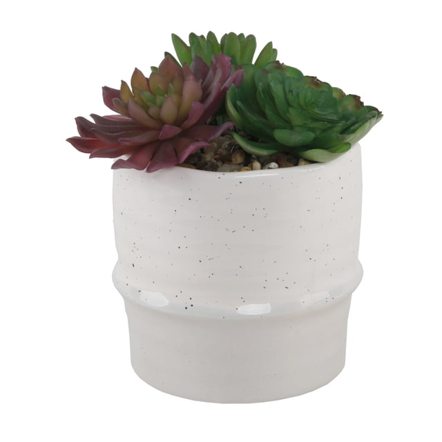 Succulent Mix in Two Tone 9" Cream/Beige Ceramic Planter - Walmart ...