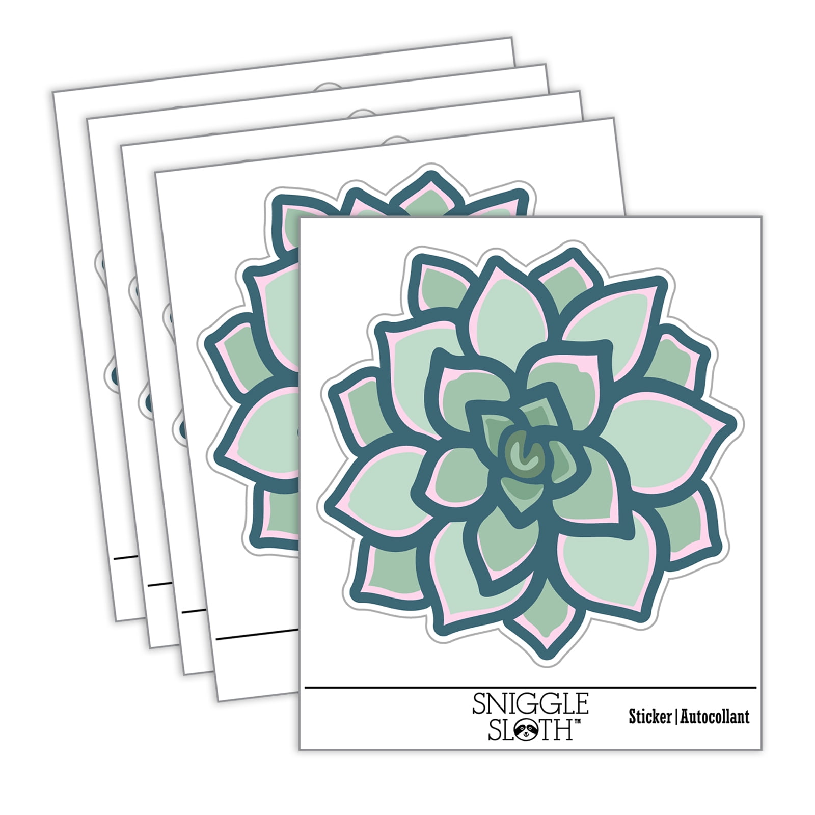 Succulent Plant Car Window Bumper Water Bottle Phone Tablet Laptop ...