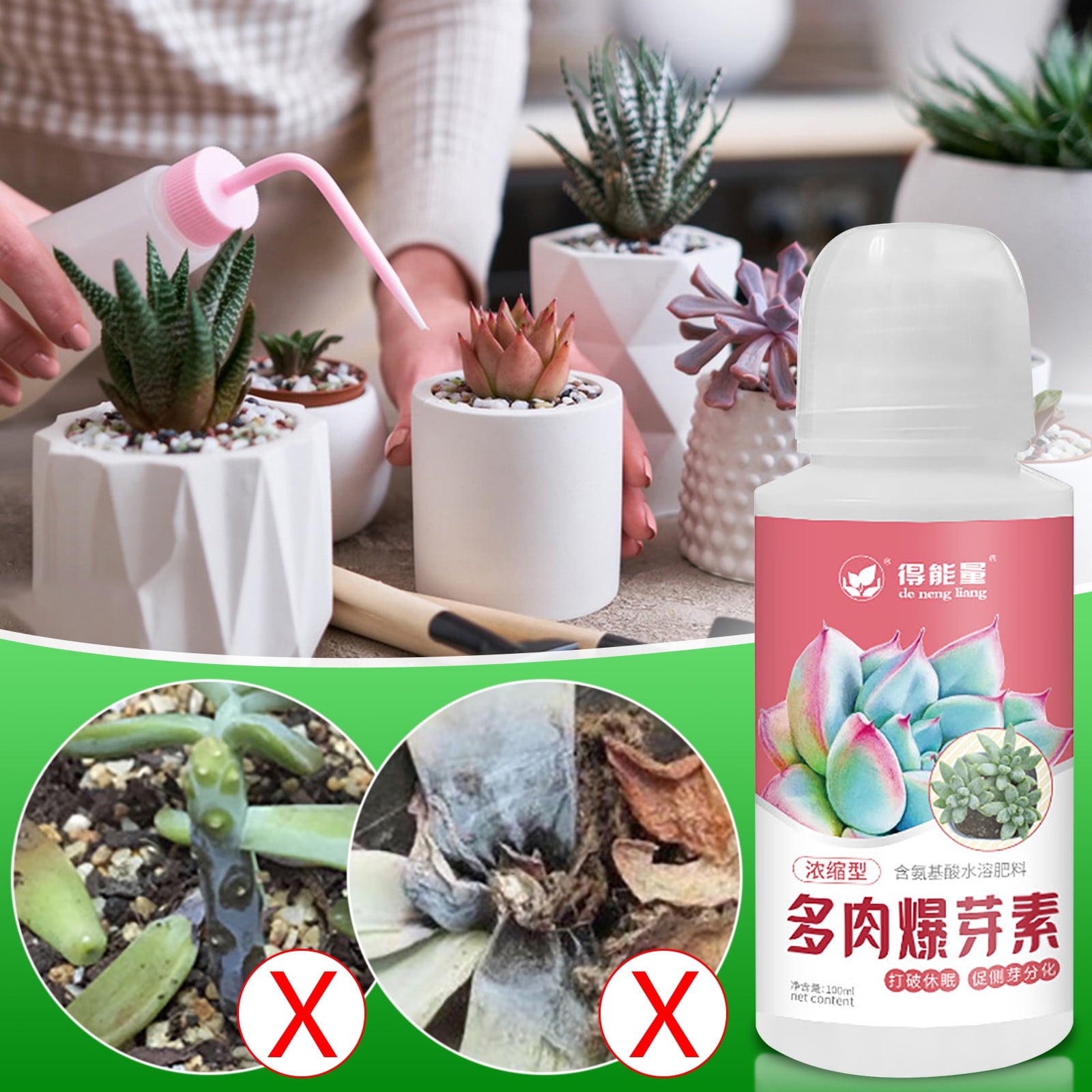 Succulent Plant Liquid 100ml Liquid Fertilizer For Outdoor Succulent ...