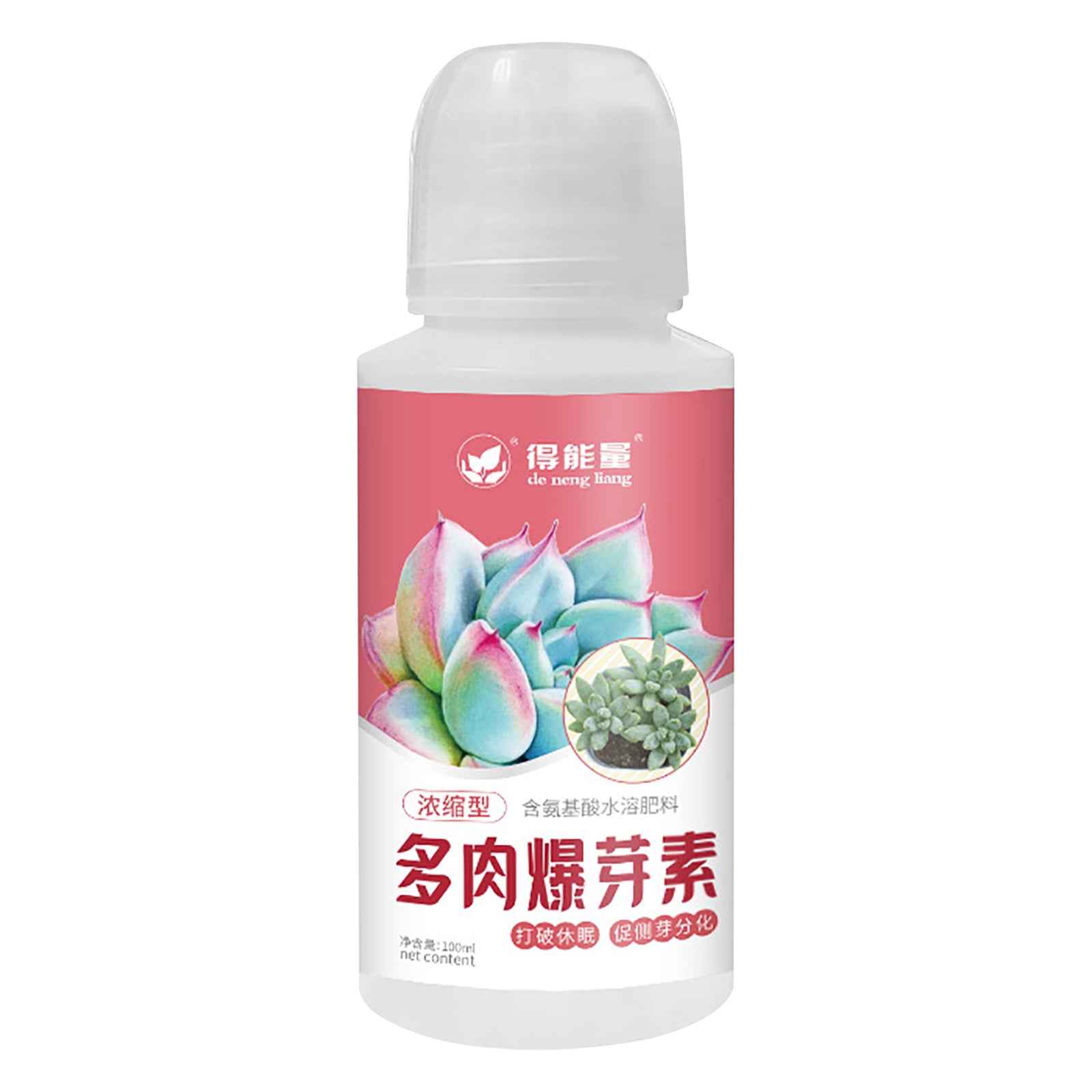 Succulent Plant Liquid 100ml Liquid Fertilizer for Outdoor Succulent ...