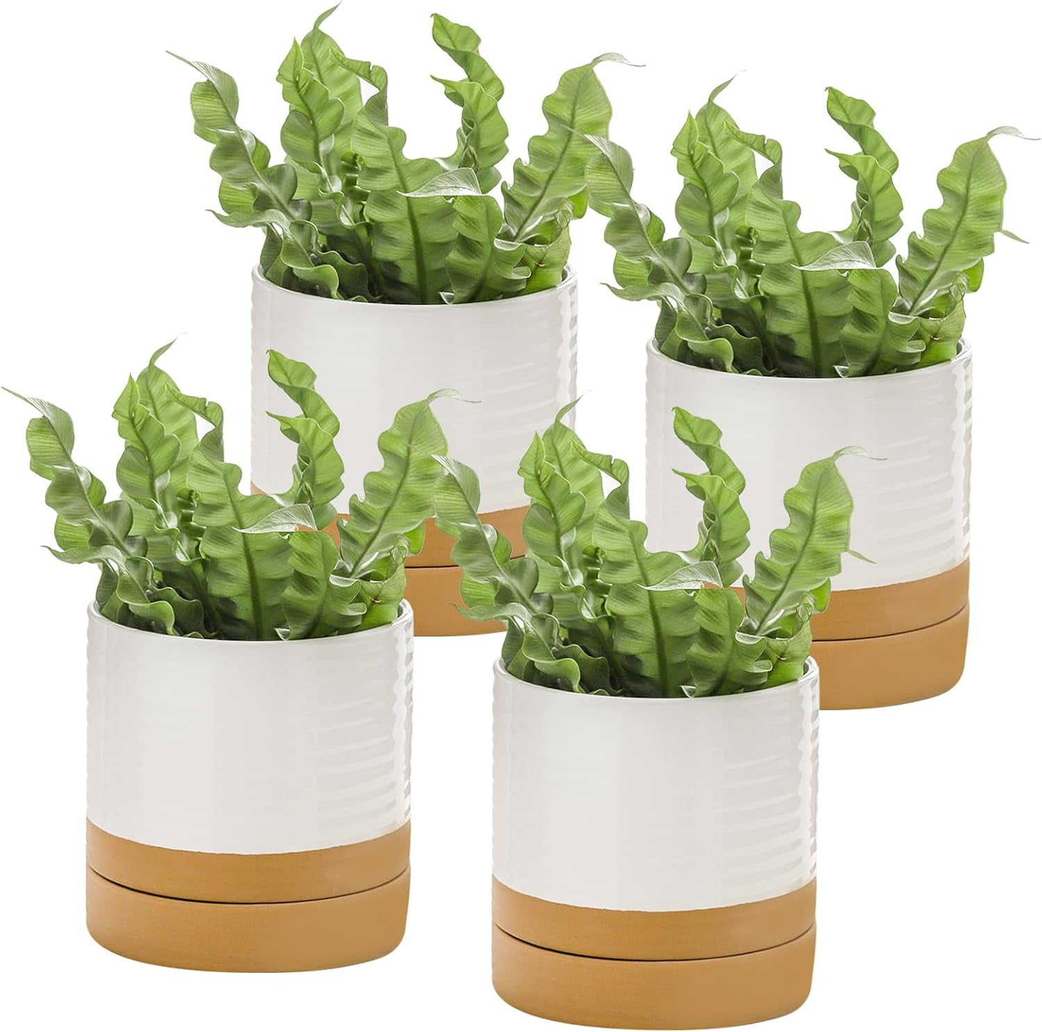 Succulent Plant Pots, 4.6 Inch Ceramic Flower Pots for Indoor Plants ...