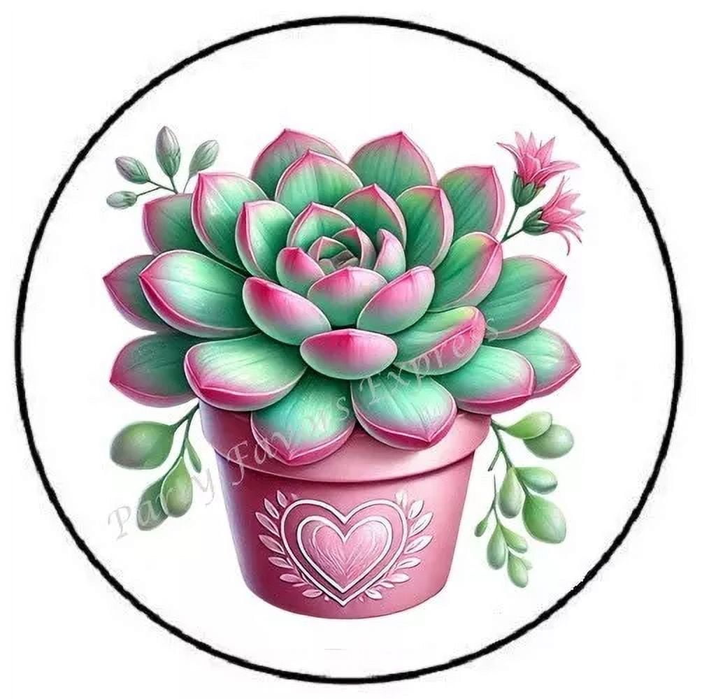 Succulent Plant Stickers Party Favors Phone Decal Water Bottle Stickers ...
