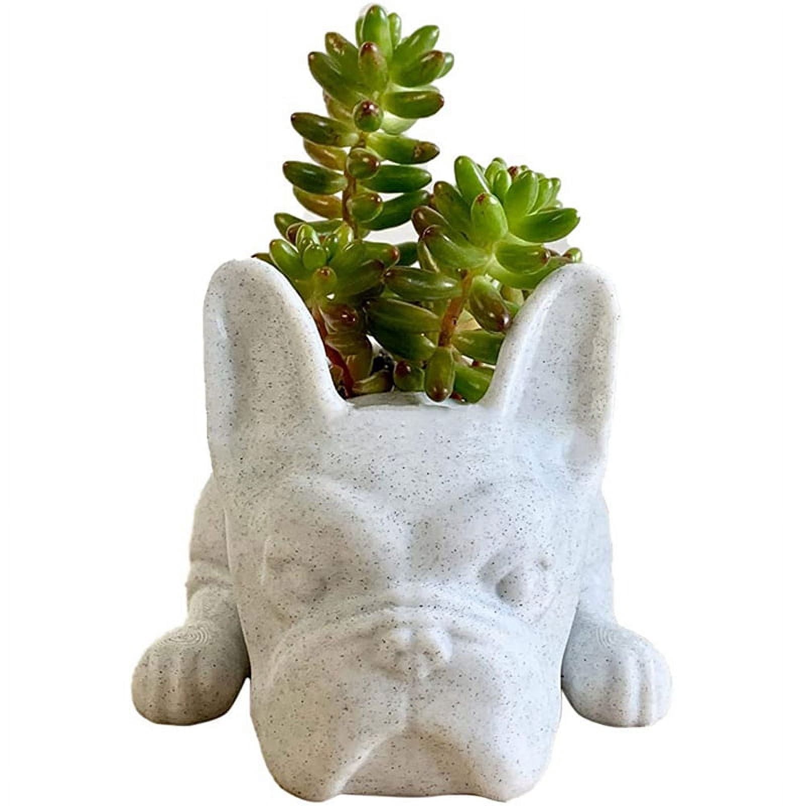 Succulent Planter,Bulldog Shape Cute Bonsai Flower Pots Garden Office ...