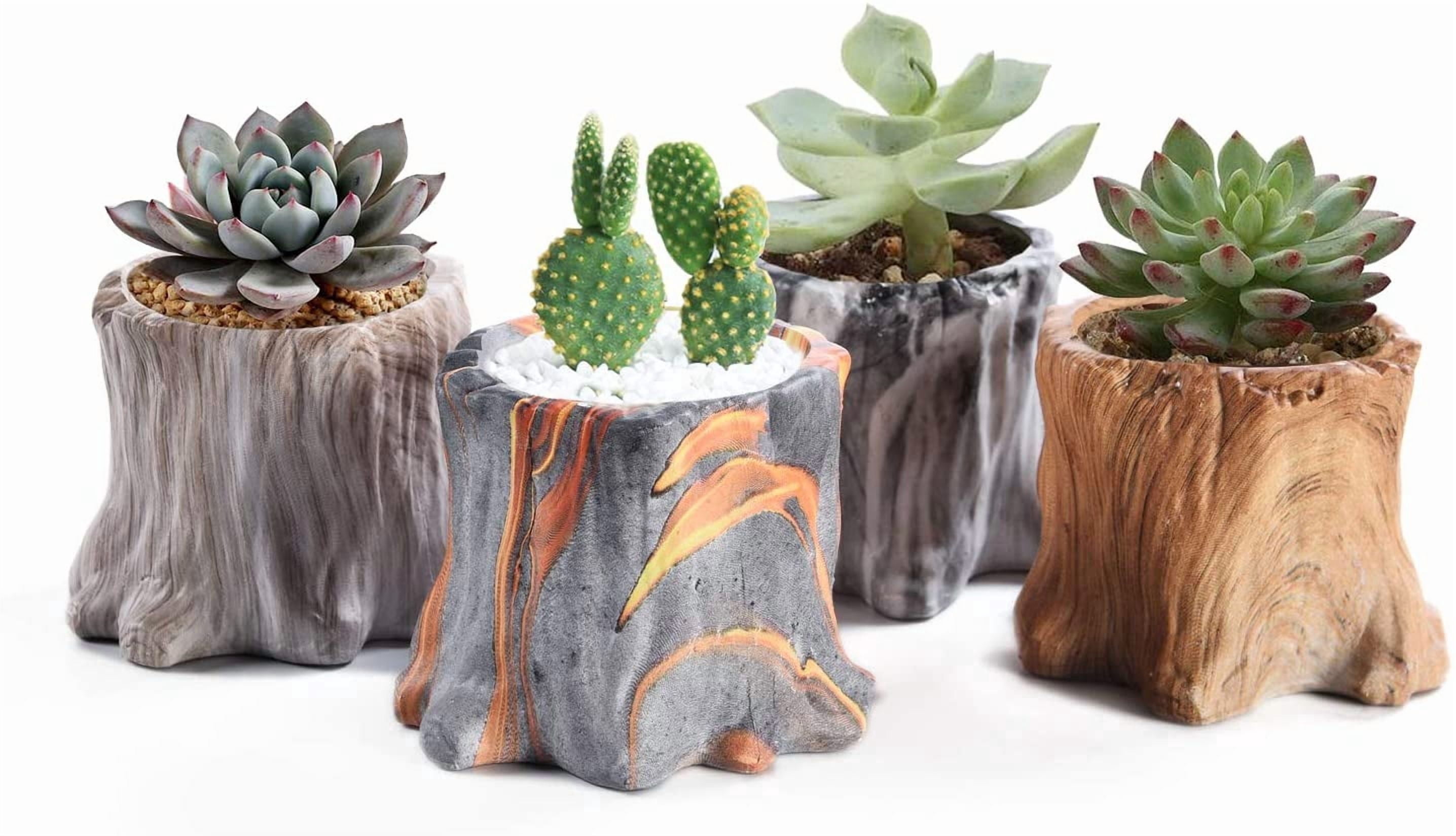 "Janhooya Succulent Planter Pots, Ceramic Tree Stump Design, 4 Pack ...