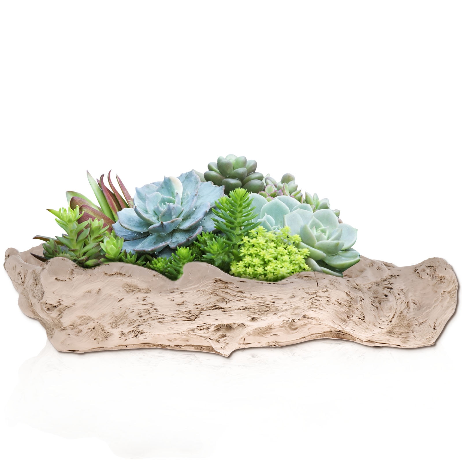 Succulent Planters with Drainage Hole Driftwood Planter Succulent Pots ...