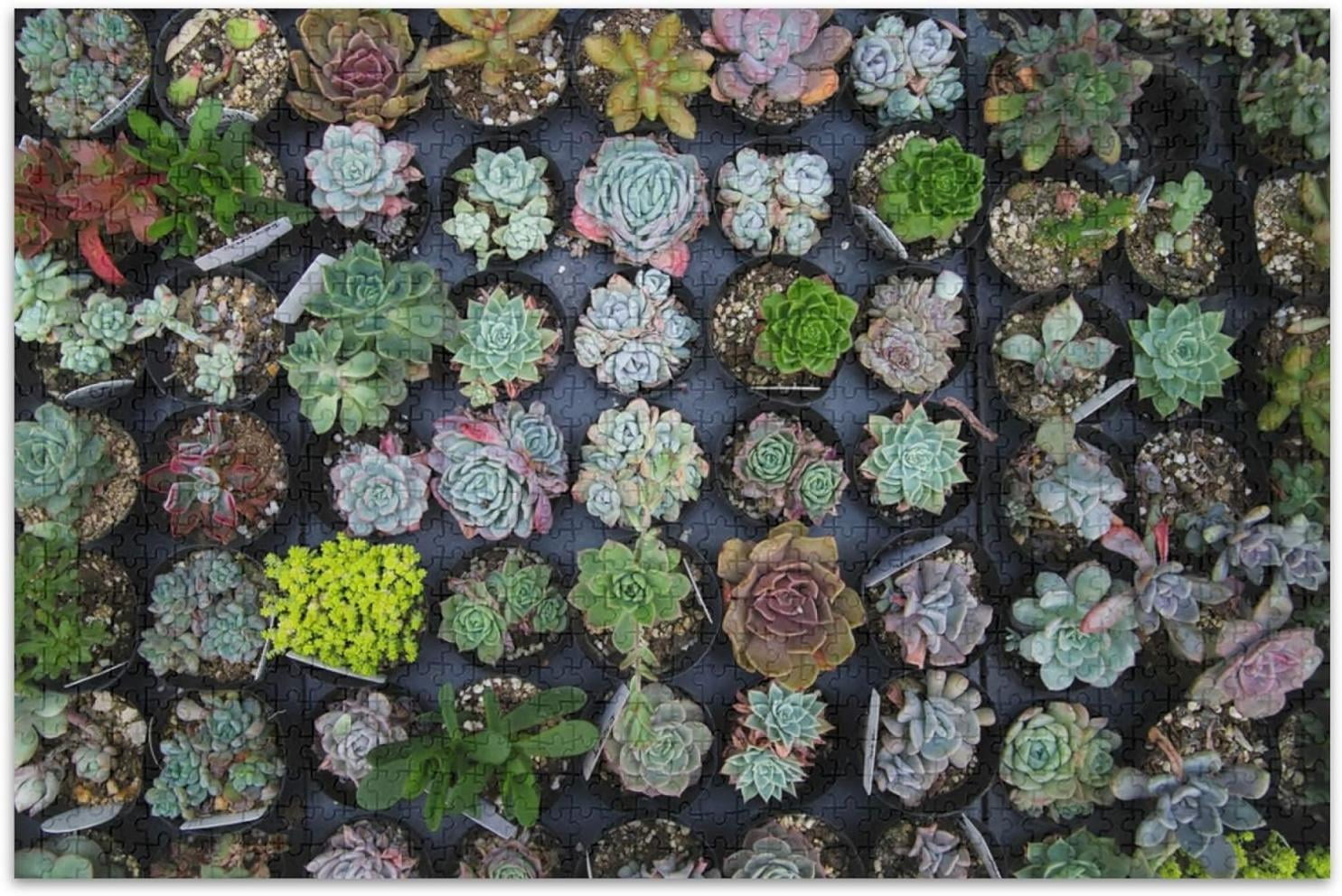 Succulent Plants Jigsaw Puzzle 500 Pieces Wooden Jigsaw Puzzles for ...