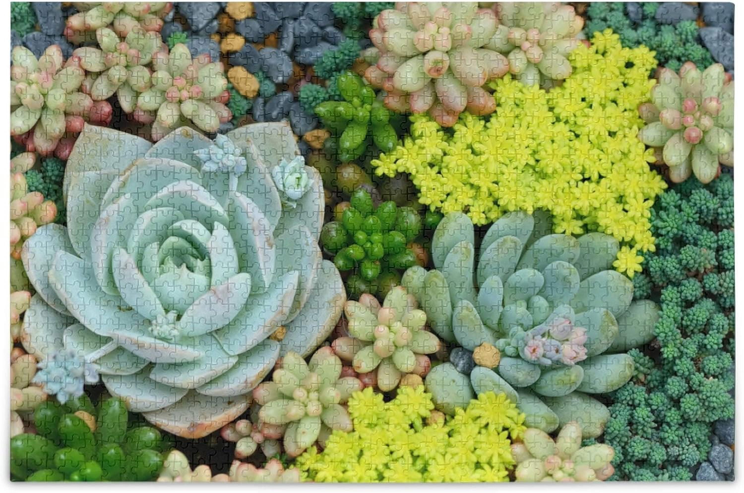 Succulent Plants Jigsaw Puzzle 500 Pieces for Adult Teen Kid, Puzzles ...