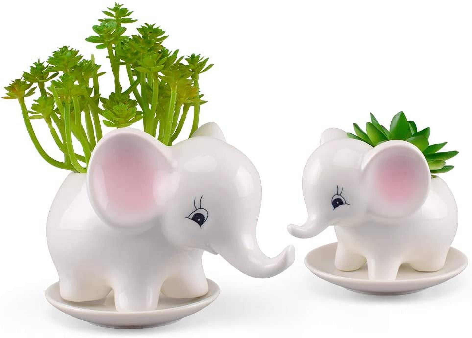2PCS Elephant Succulent Pots, Ceramic Planter with Tray for Indoor ...