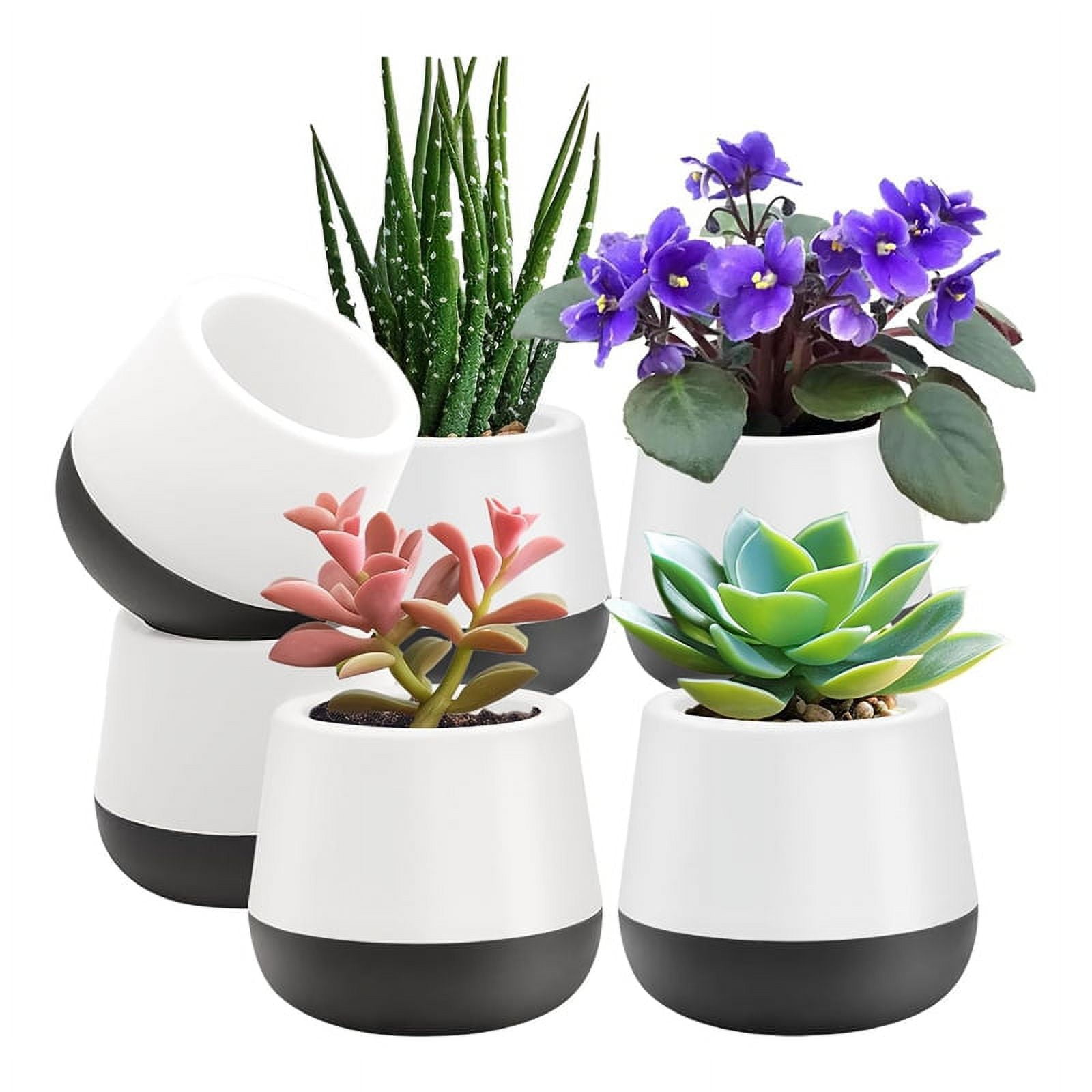 Succulent Pots - 3 Inch Self Watering Plant Pot Cactus Planter Pots ...