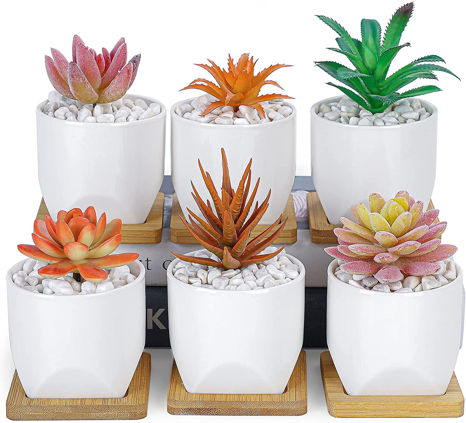 Succulent Pots - 3 Inch Small Succulent Planter Pot with Drainage Trays ...