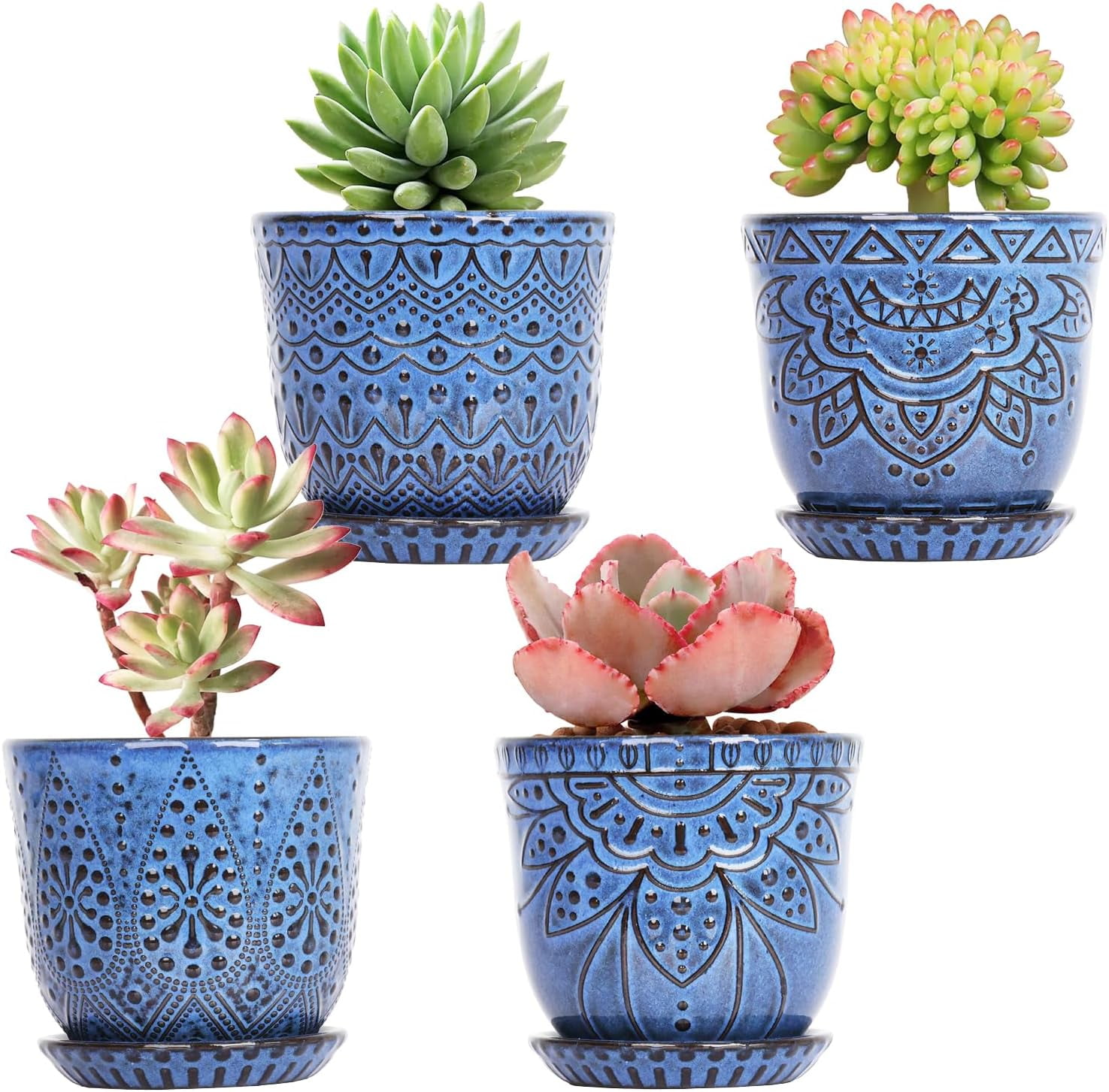 Succulent Pots, 4 Inch Small Indoor Ceramic Planter Pot with Drainage ...