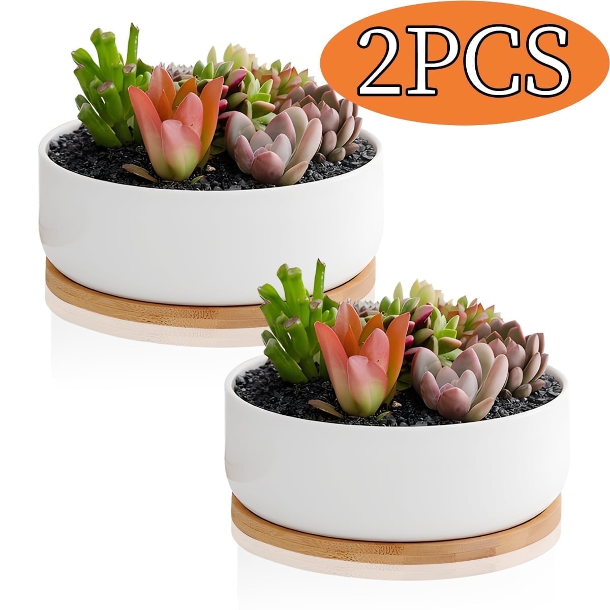 Large Modern Succulent Pots, Ceramic Planters with Drainage, Indoor ...