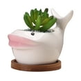 Succulent Pots with Drainage，Cute Shark Cartoon Animal Shaped Ceramic ...