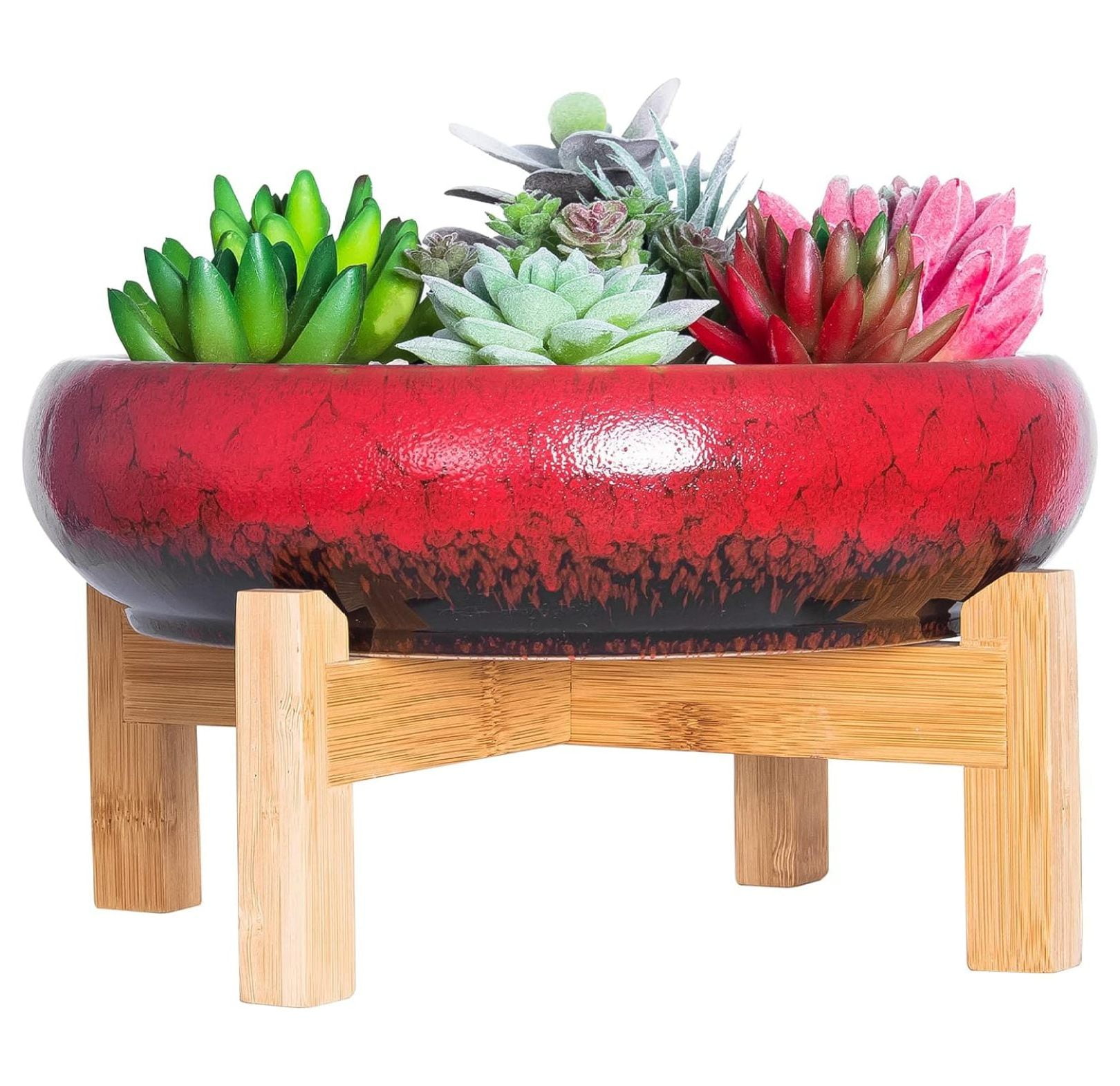 Succulent Pots - Large Succulent Planter Pot with Bamboo Stand, 10 Inch ...