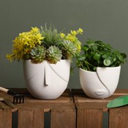 T4U Small Ceramic Succulent Pots, Mini Pots for Plants, 2 inches, Set ...