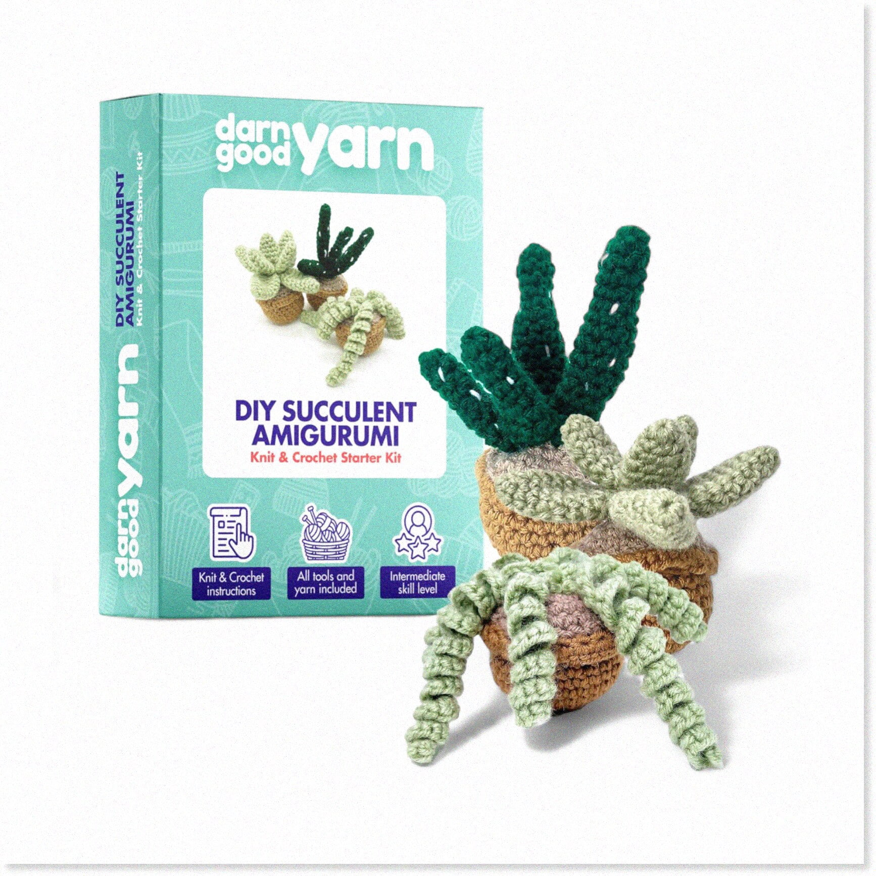 Succulent Stitchery: The Ultimate Crochet Kit for Budding Amigurumi ...